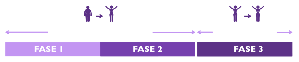 Fases - Dieta Biotrês